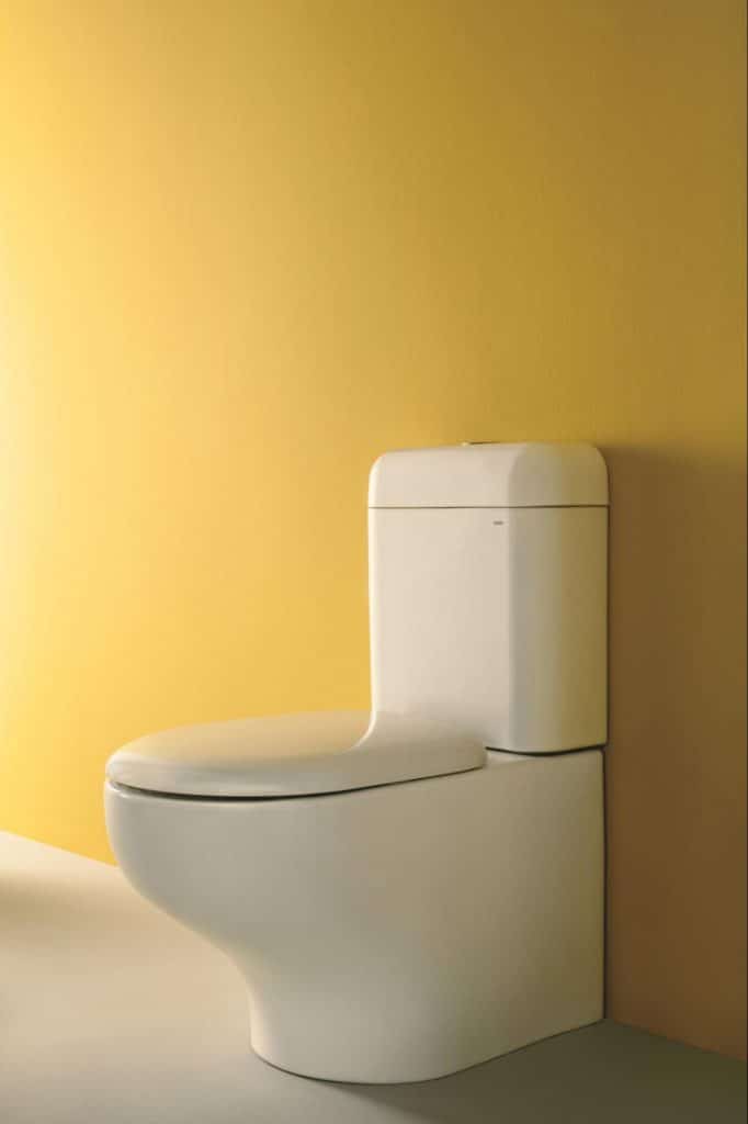 What Are The Elements Of A Modern Toilet Bowl In Singapore